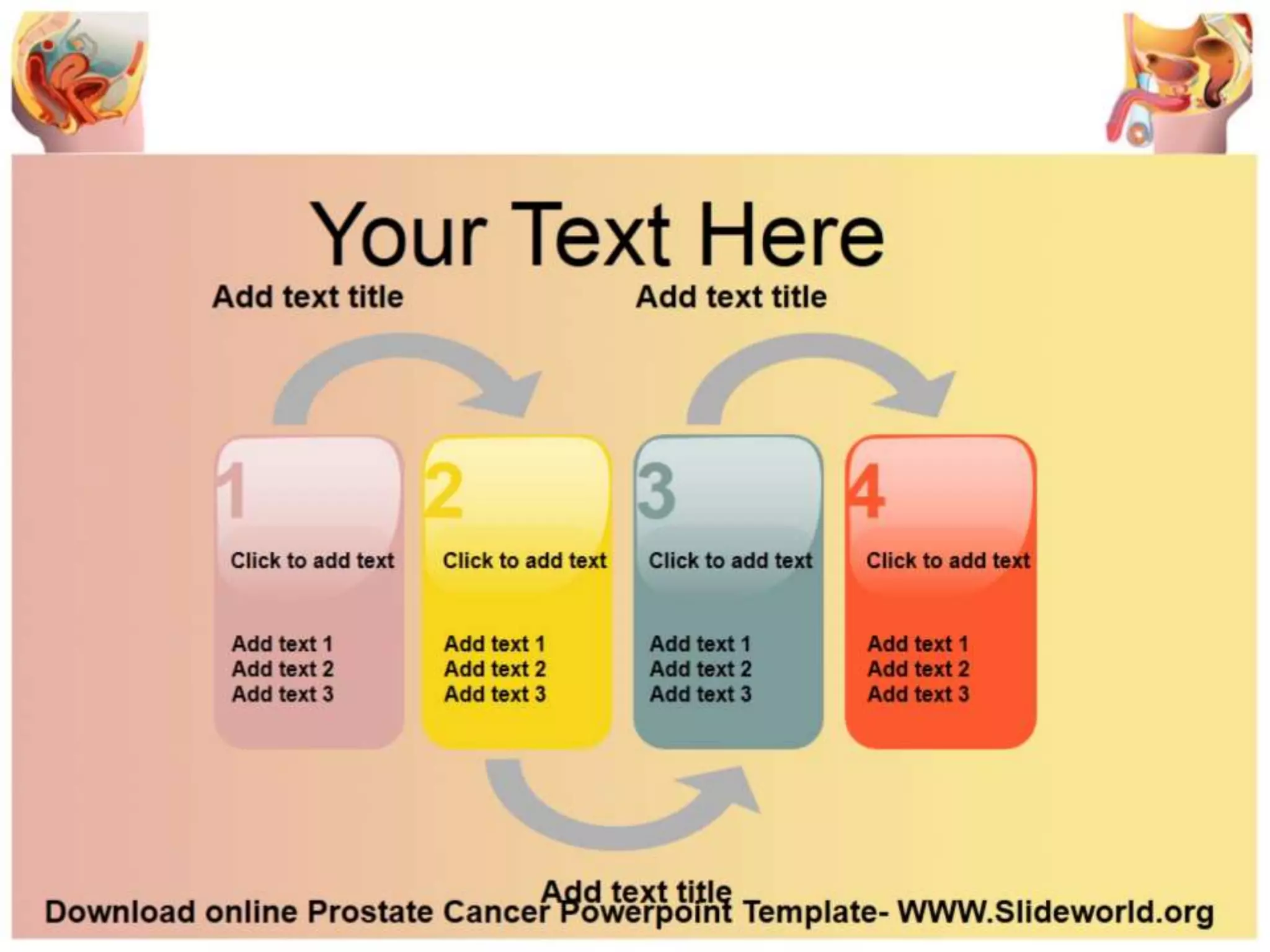 Download Prostate Cancer PowerPoint Templates- Slideworld.Org