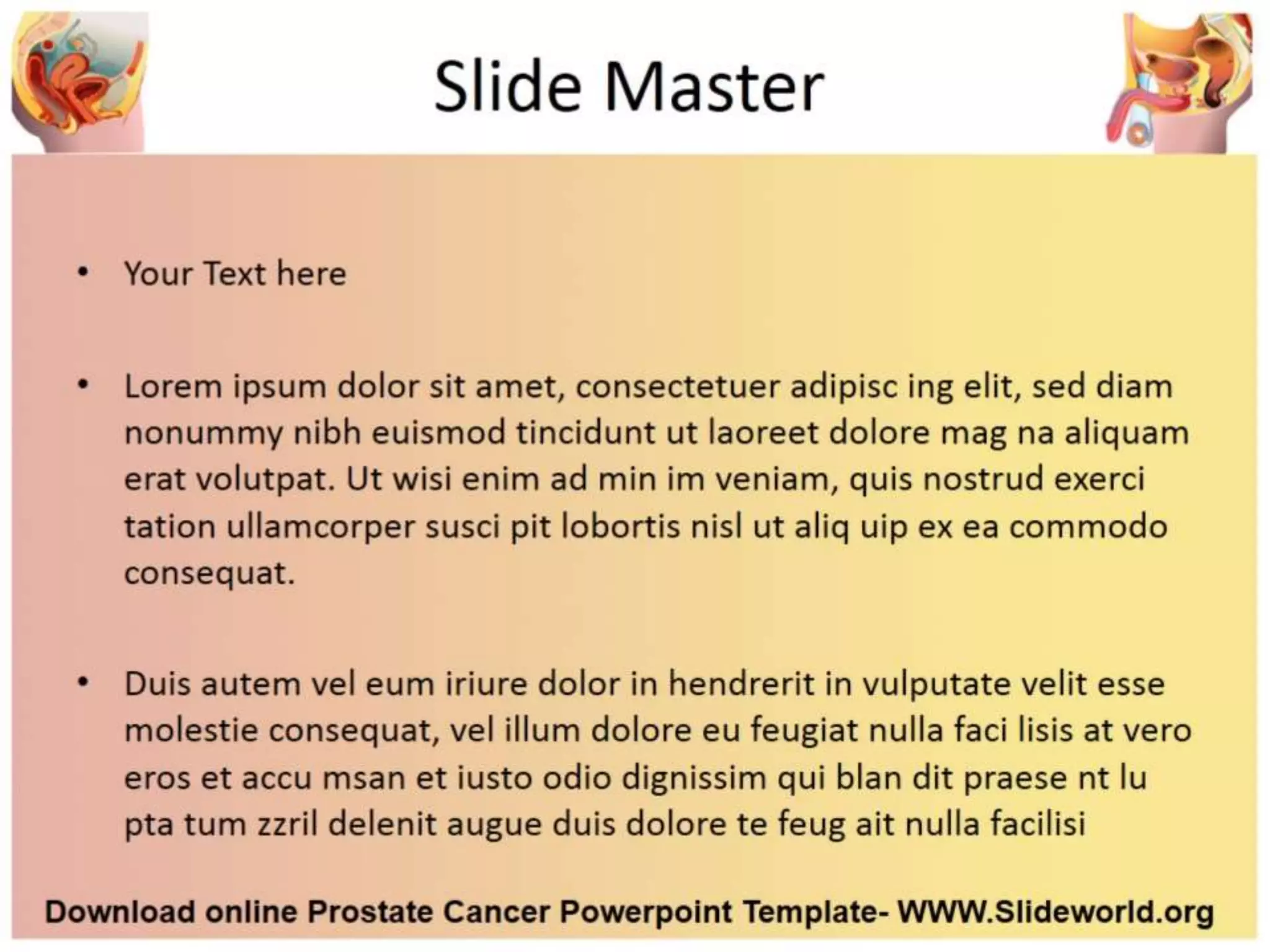 Download Prostate Cancer PowerPoint Templates- Slideworld.Org