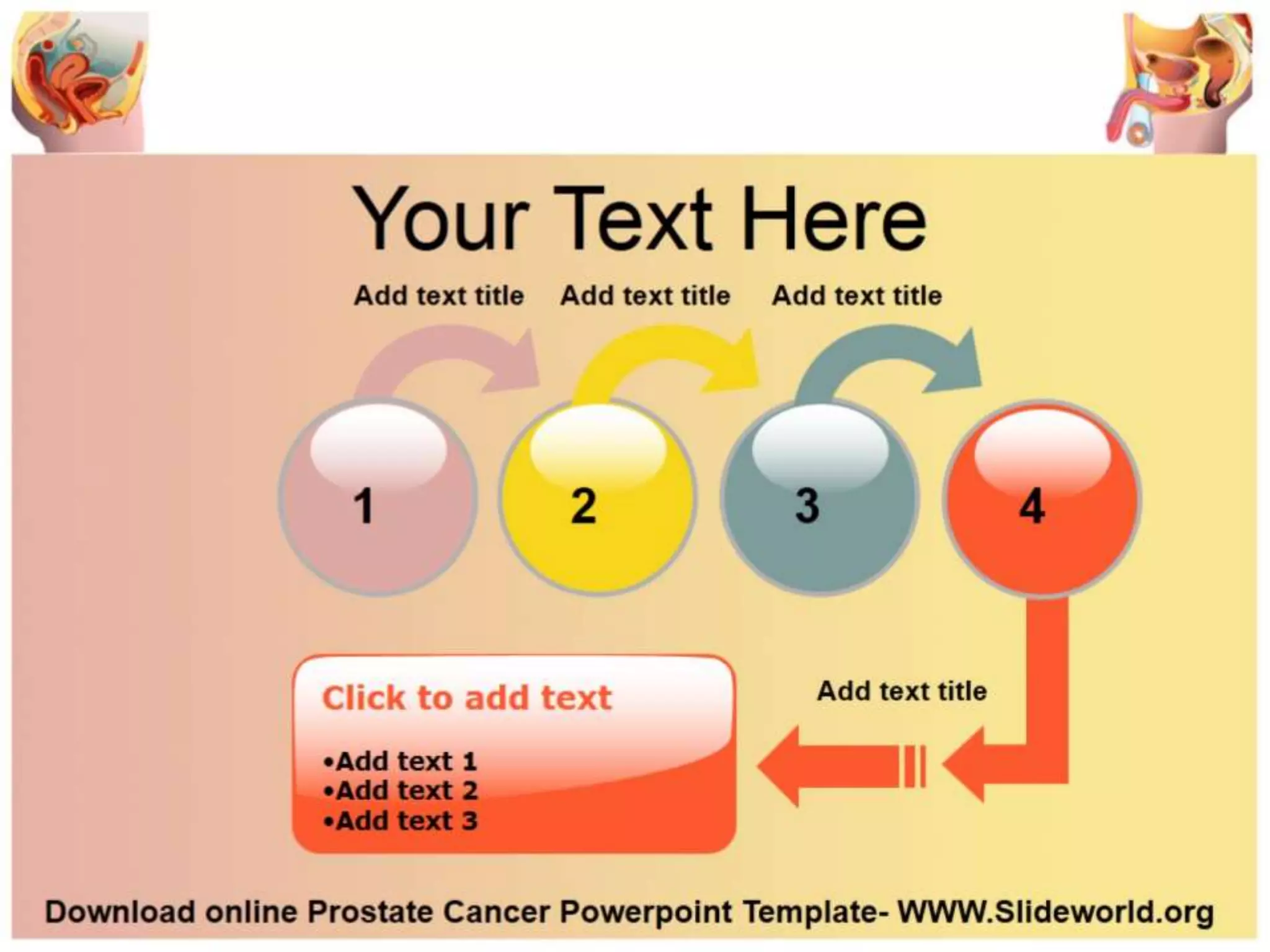 Download Prostate Cancer PowerPoint Templates- Slideworld.Org