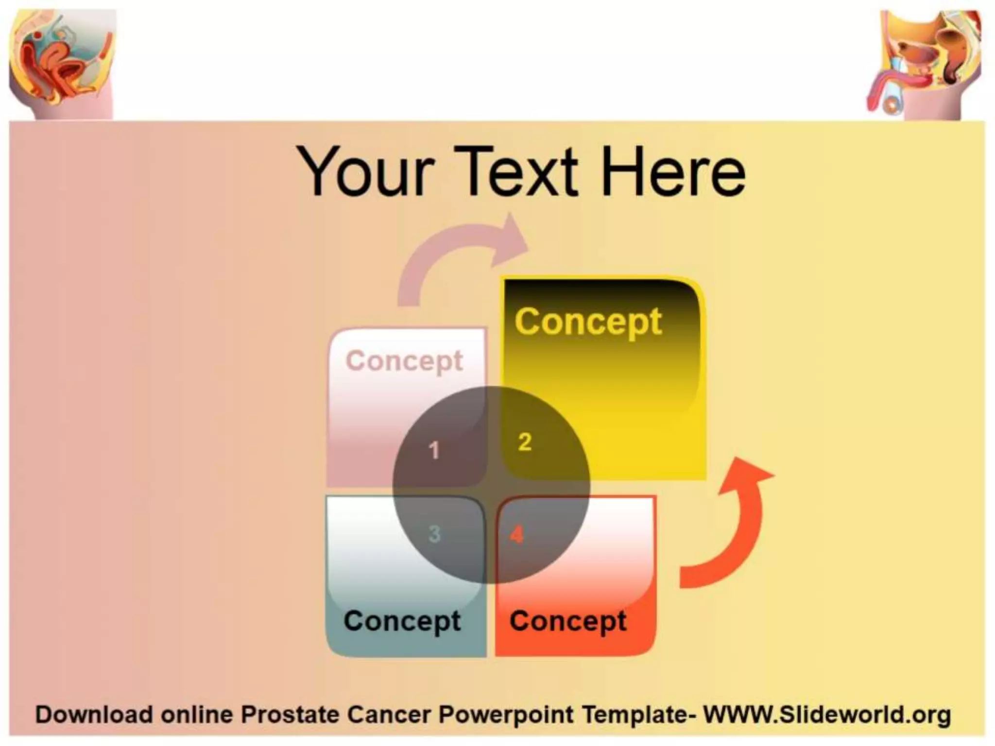 Download Prostate Cancer PowerPoint Templates- Slideworld.Org