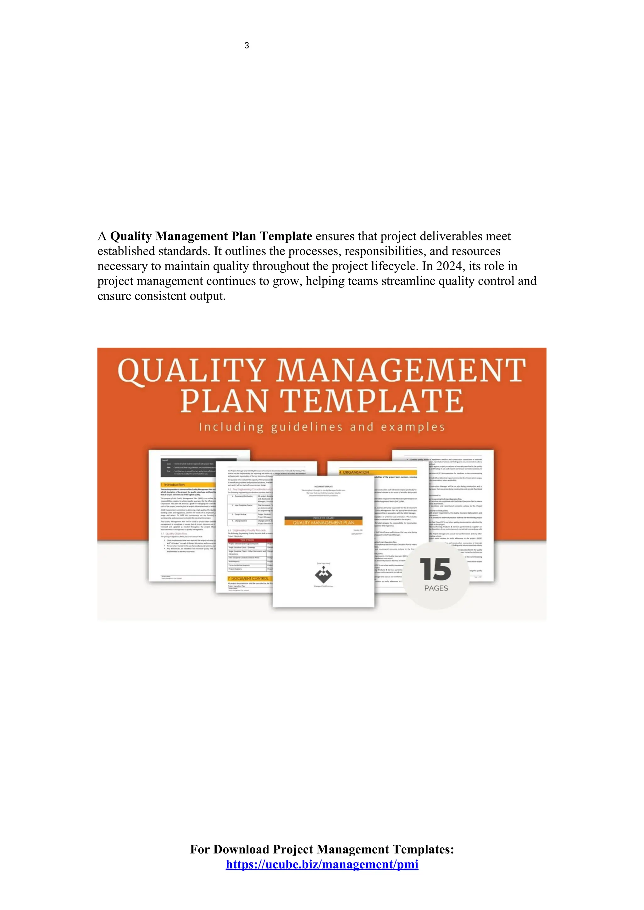 Download the #1 Quality Management Plan Template.docx