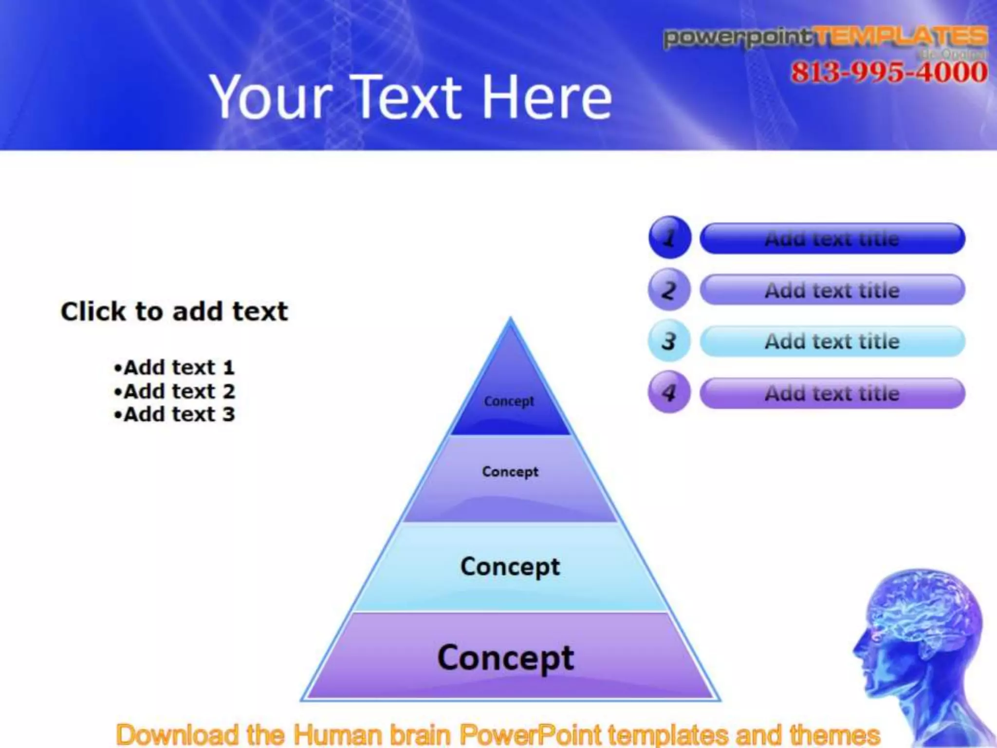 Download the human brain powerpoint templates and themes | PPT