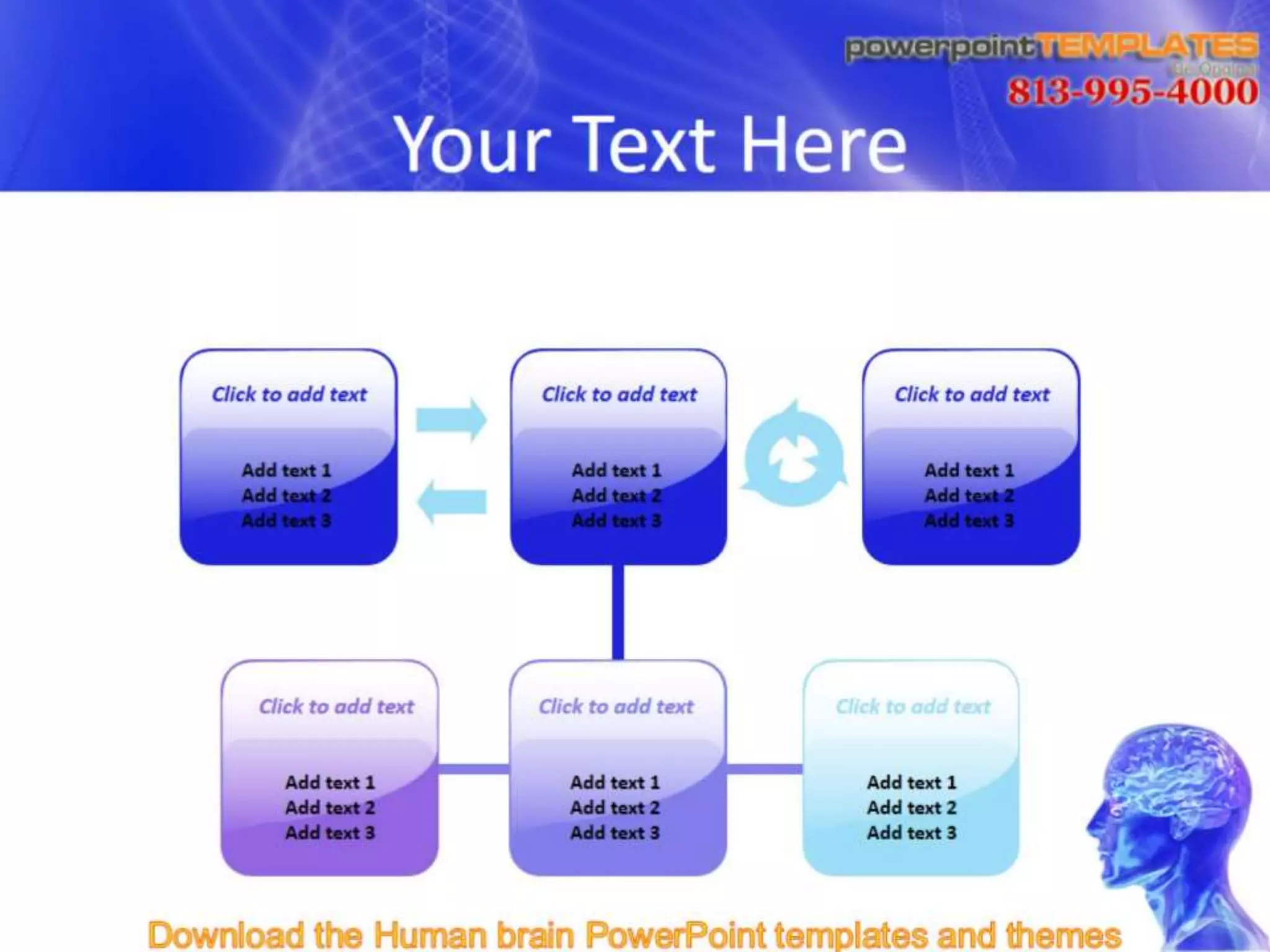 Download the human brain powerpoint templates and themes | PPT