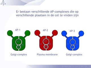 Downregulation Deel1 | PPT