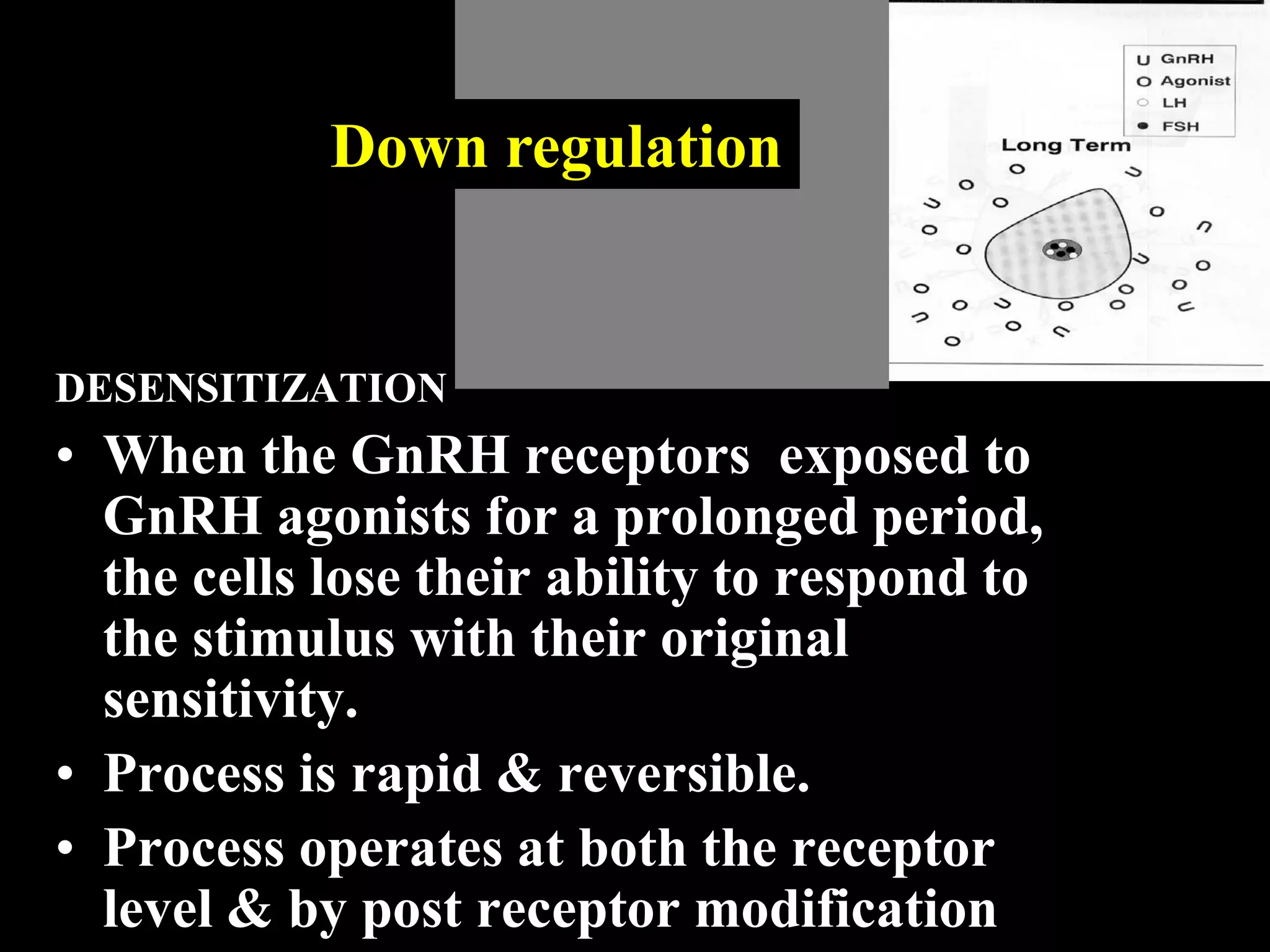 UNDERSTANDING DOWN REGULATION GnRH Agonists and Antagonists In ART | PDF