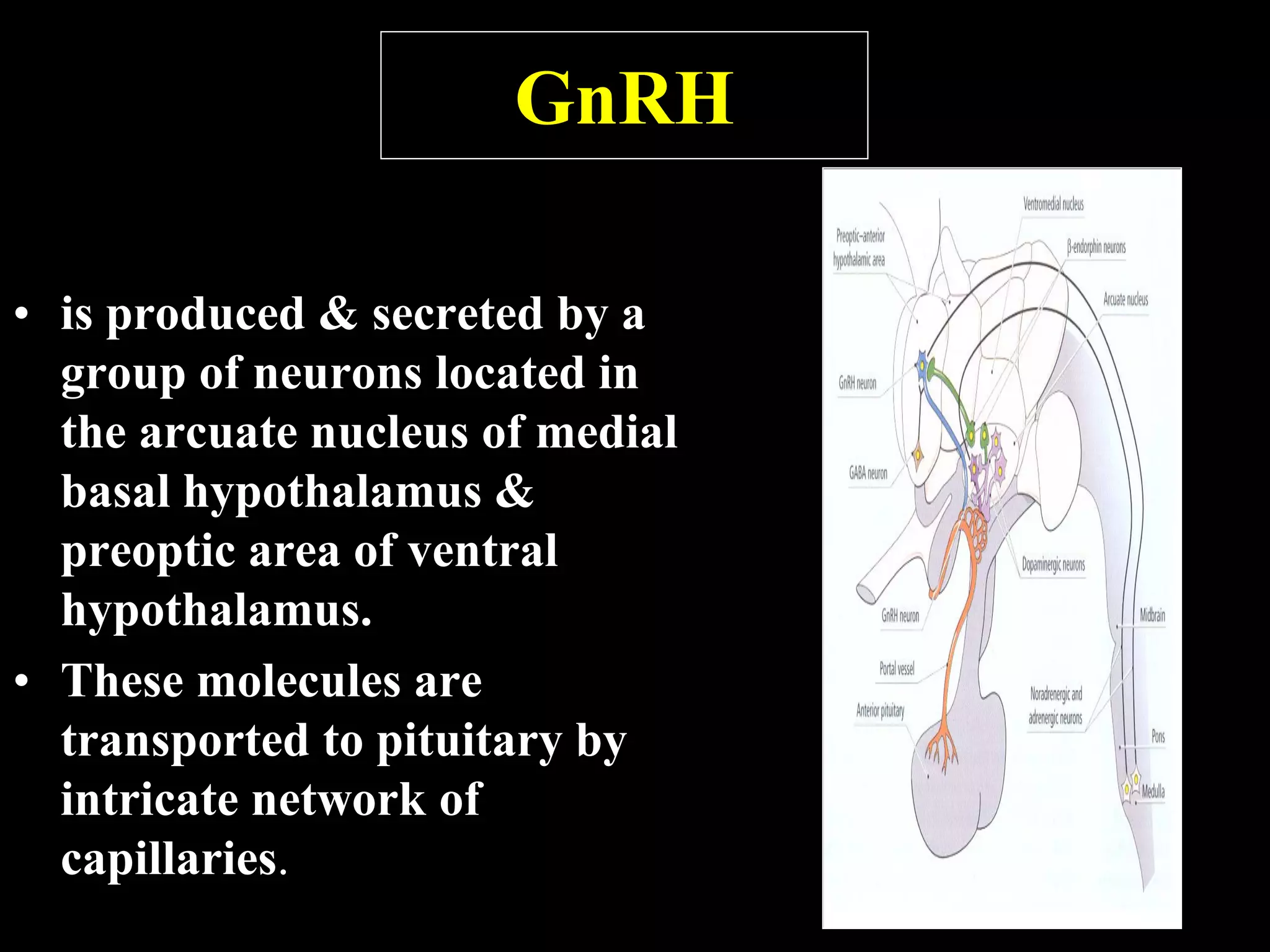 UNDERSTANDING DOWN REGULATION GnRH Agonists and Antagonists In ART | PDF
