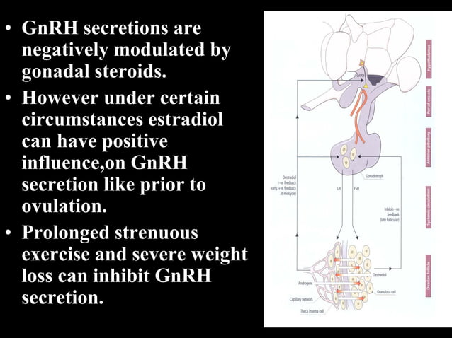 UNDERSTANDING DOWN REGULATION GnRH Agonists and Antagonists In ART | PDF