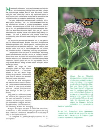 Grow A Downspout Bog Garden | PDF