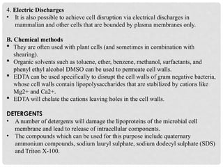 Downstream Processing: Cell disruption method | PPTX