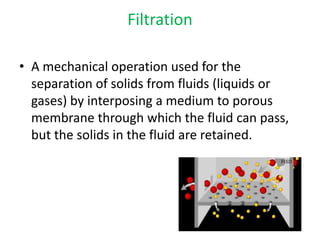 Downstream processing | PPTX