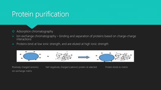 Downstreaming process | PPTX
