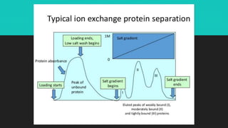 Downstreaming process | PPTX