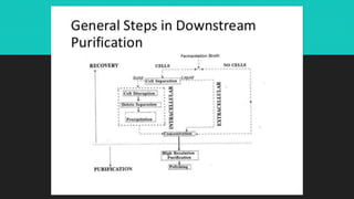 Downstreaming process | PPTX