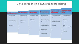 Downstreaming process | PPTX