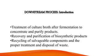 Down stream presentation | PPTX