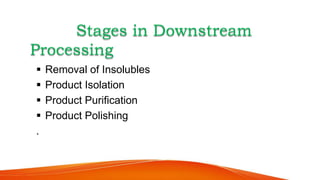 Down stream presentation | PPTX