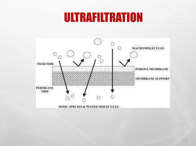Downstream process | PPTX | Chemistry | Science