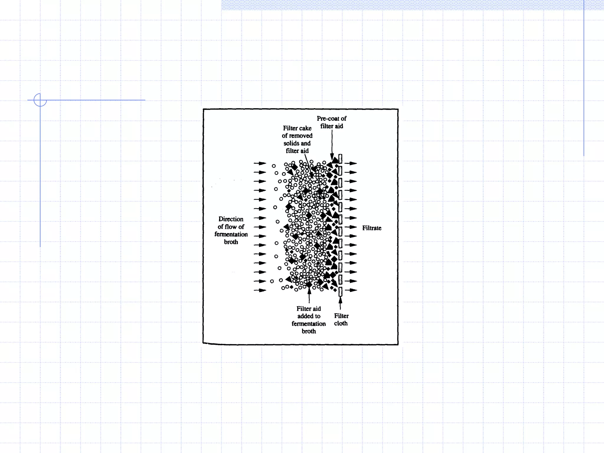 Downstream Processes_Filtration.ppt