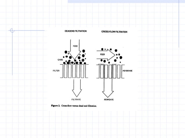 Downstream Processes_Filtration.ppt | Desserts and Baking | Food & Drink