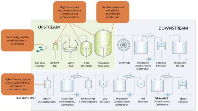 Downstream processing