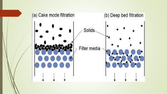 Downstream processing - industrial microbiology | PPT Downstream processing - industrial microbiology | PPT