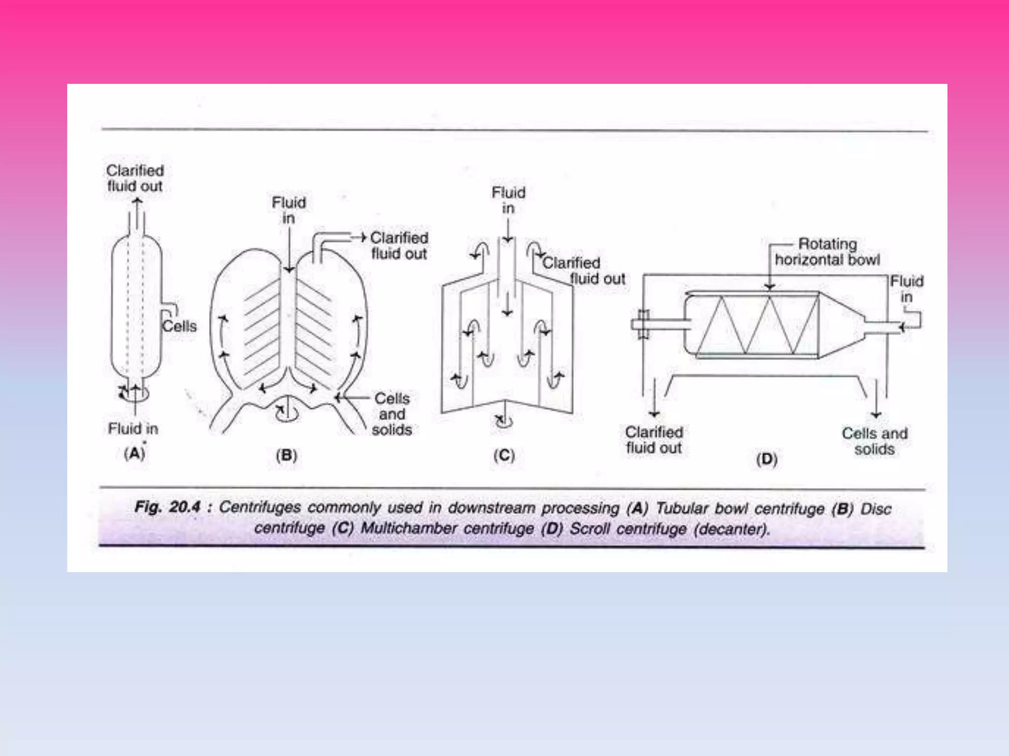 Downstream processing | PPT