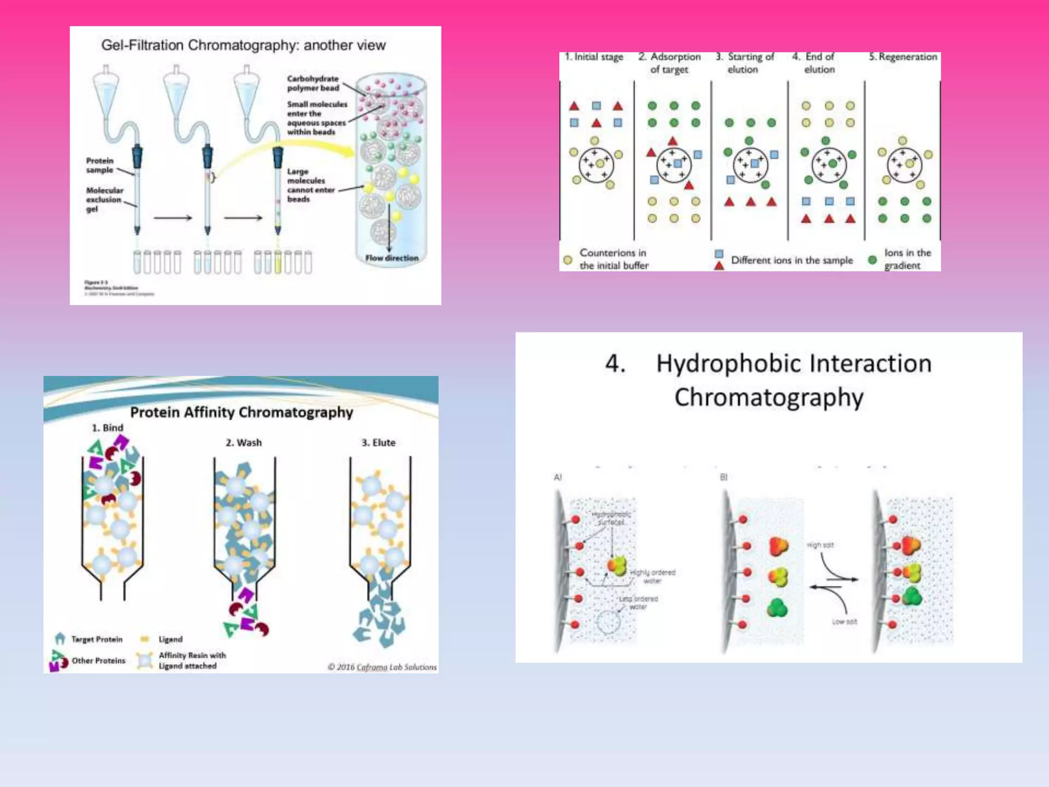 Downstream processing | PPT