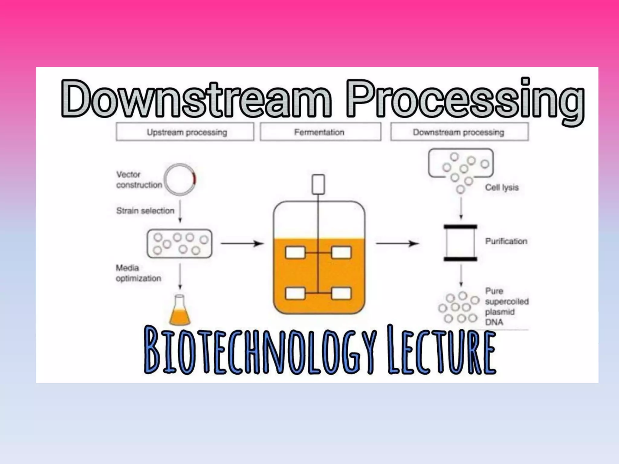 Downstream processing | PPT