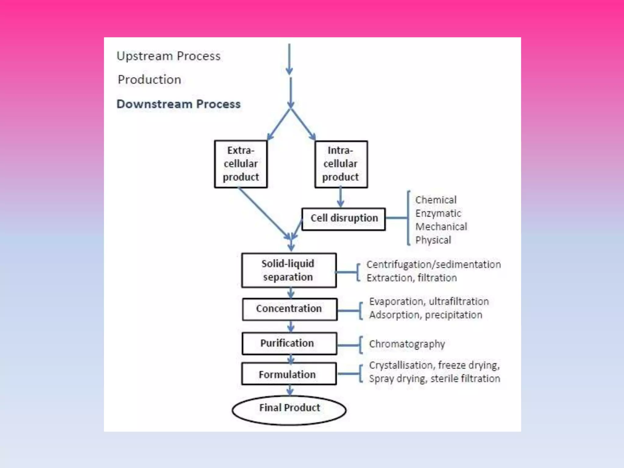 Downstream processing | PPT