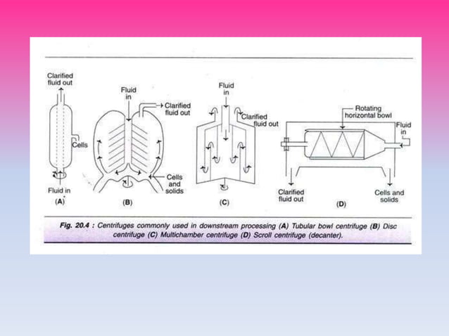 Downstream processing | PPT