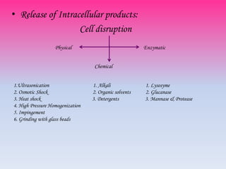 Downstream processing | PPT