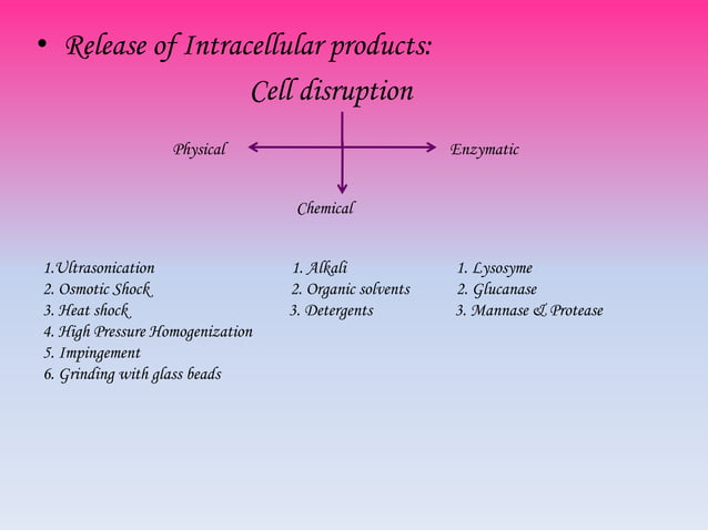 Downstream processing | PPT