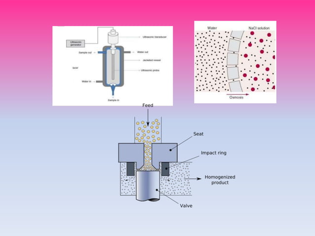 Downstream processing | PPT