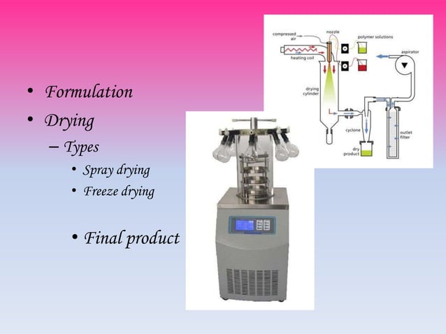 Downstream processing | PPT