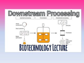 Downstream processing | PPT