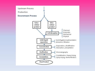 Downstream processing | PPT