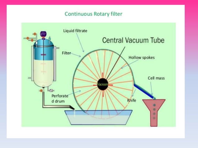 Downstream processing | PPT
