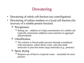 Downstream Processing_basic introduction.ppt