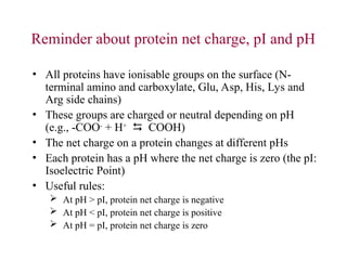 Downstream Processing_basic introduction.ppt