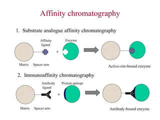 Downstream Processing_basic introduction.ppt