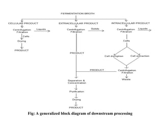 Downstream Processing_basic introduction.ppt