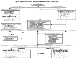 Downstream Processing_basic introduction.ppt
