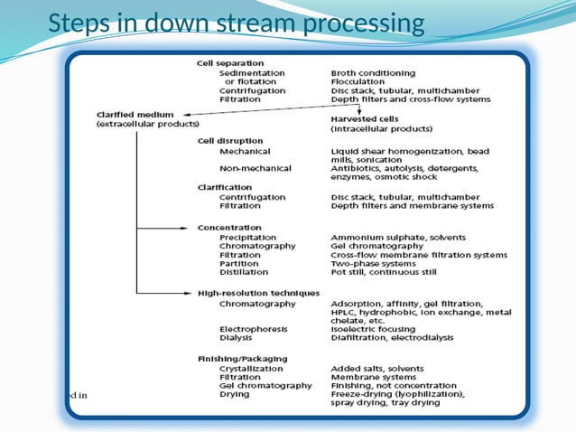 down stream processing- ankit.pptx baca aau | PPT