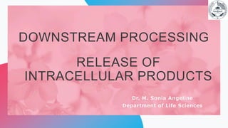 Down stream processing Dr.Sonia | PPTX
