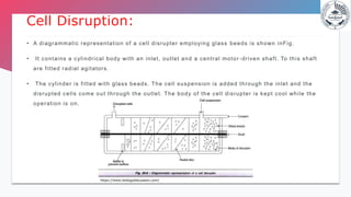 Down stream processing Dr.Sonia | PPT