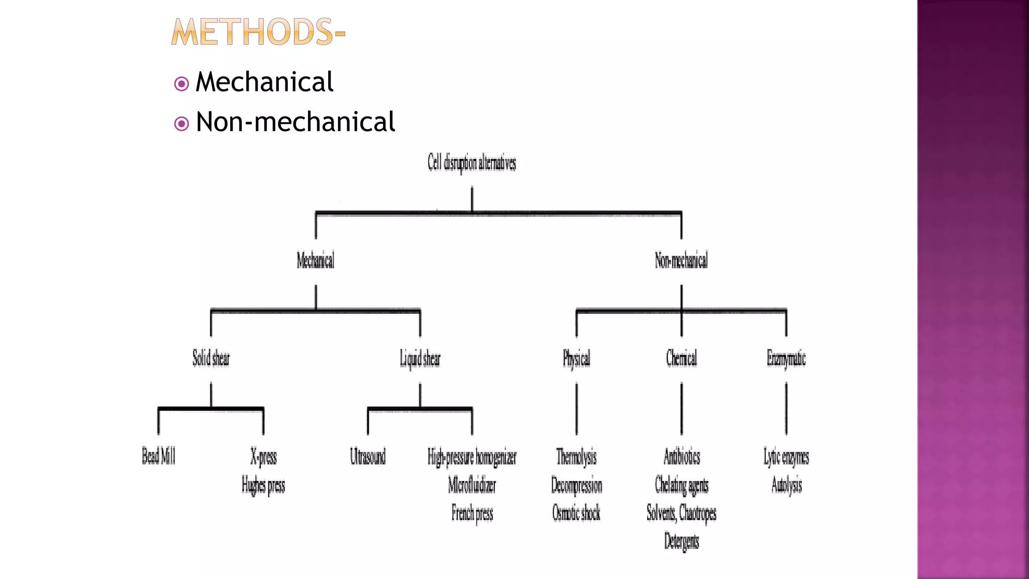 Downstream processing group ppt | PPTX