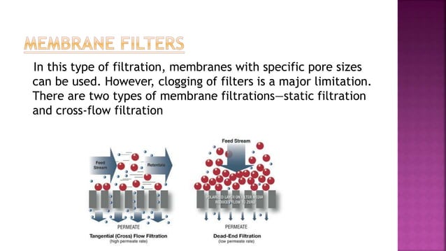 Downstream processing group ppt | PPTX