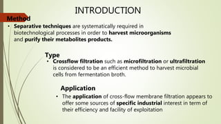 Downstream processing, homogenizing, microfiltration & hplc | PPTX
