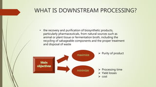Downstream processing, homogenizing, microfiltration & hplc | PPTX