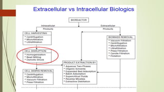Downstream processing, homogenizing, microfiltration & hplc | PPTX